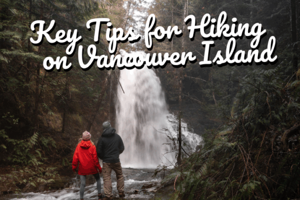 Proper Rest and Recovery After a Difficult Hike: 5 Essential Tips ...